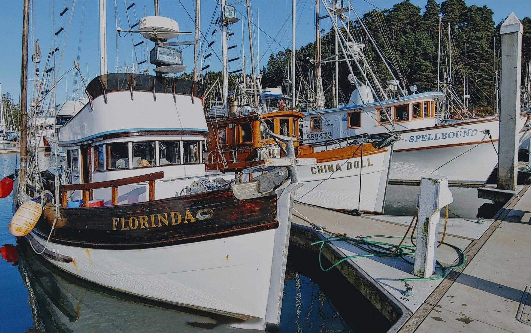 Home - Ferrari Fisheries